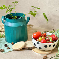 How to plant seed paper – Little Green Paper Shop