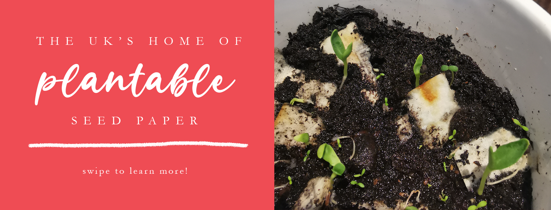 Little Green Paper Shop: Eco-Friendly Paper and Stationery