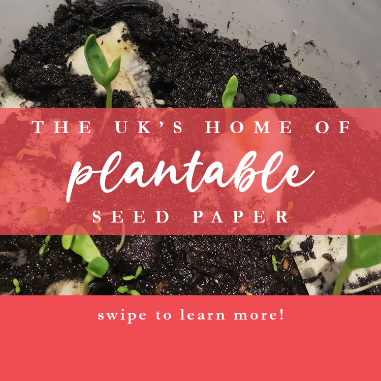 Little Green Paper Shop: Eco-Friendly Paper and Stationery