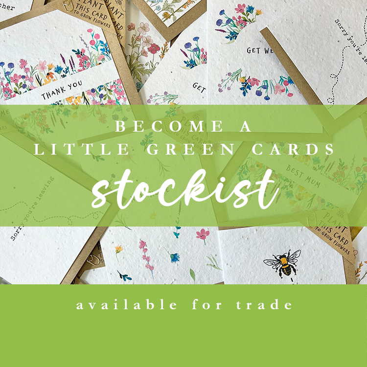 Little Green Paper Shop: Eco-Friendly Paper and Stationery