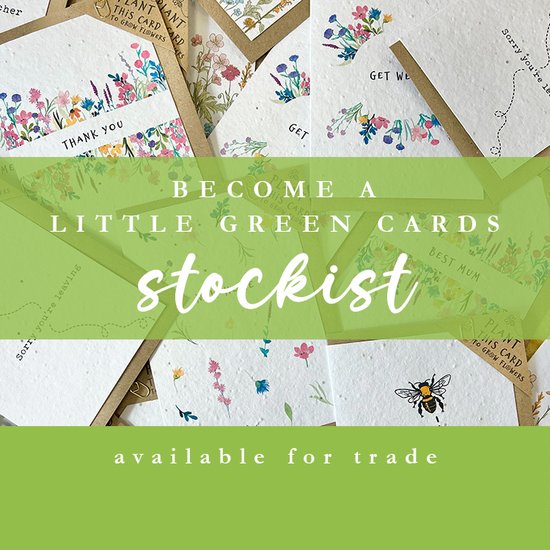 Little Green Paper Shop: Eco-Friendly Paper and Stationery