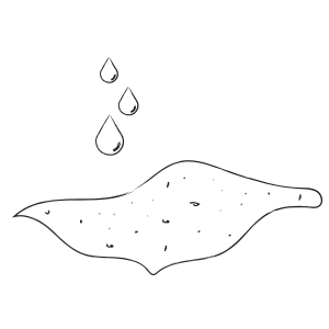 How to plant seed paper – Little Green Paper Shop