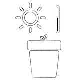 How to plant seed paper – Little Green Paper Shop