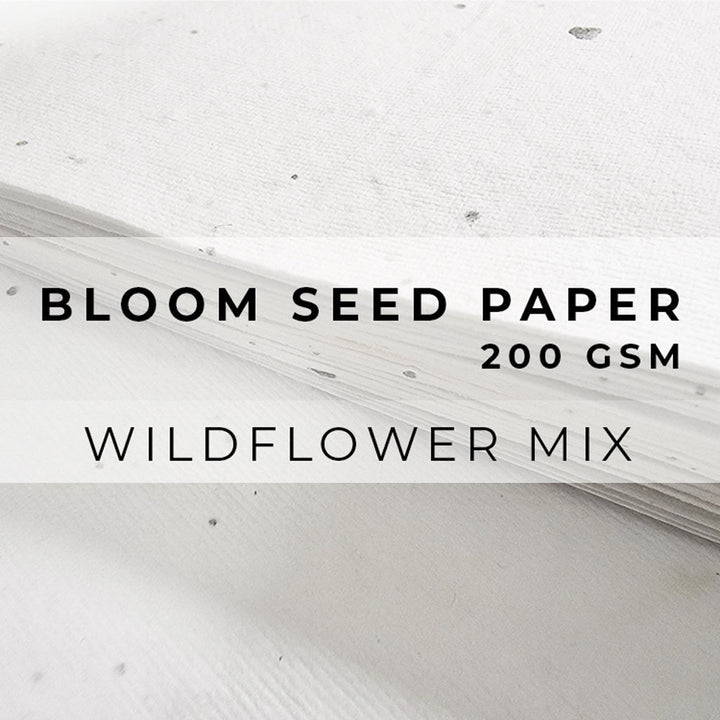 Seed Paper | Eco-Friendly & Plantable | Little Green Paper Shop