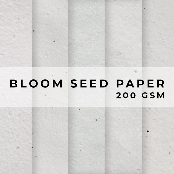 Seed Paper | Eco-Friendly & Plantable | Little Green Paper Shop