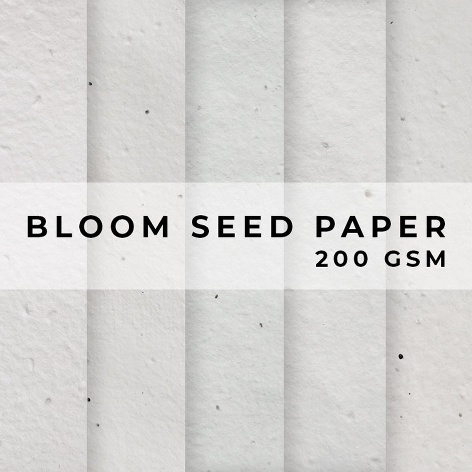 Seed Paper | Eco-Friendly & Plantable | Little Green Paper Shop