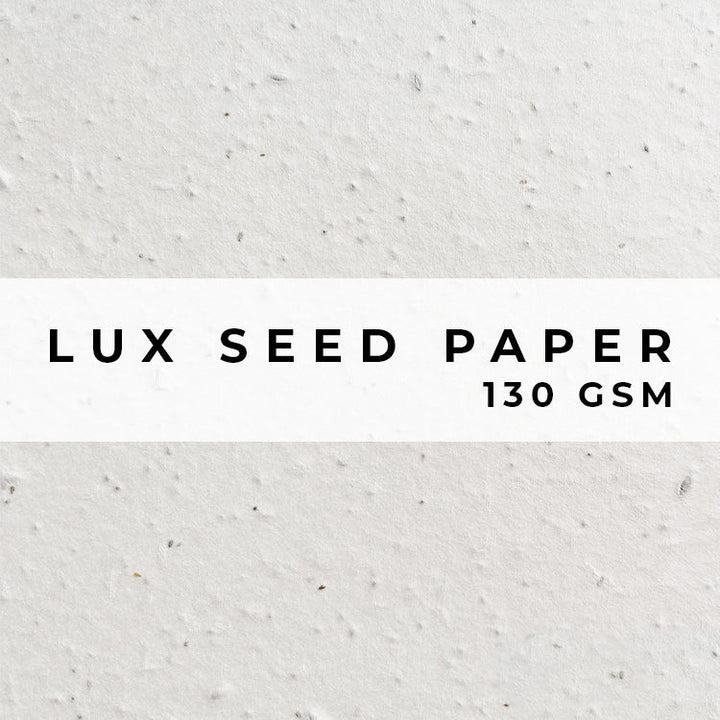 Seed Paper | Eco-Friendly & Plantable | Little Green Paper Shop