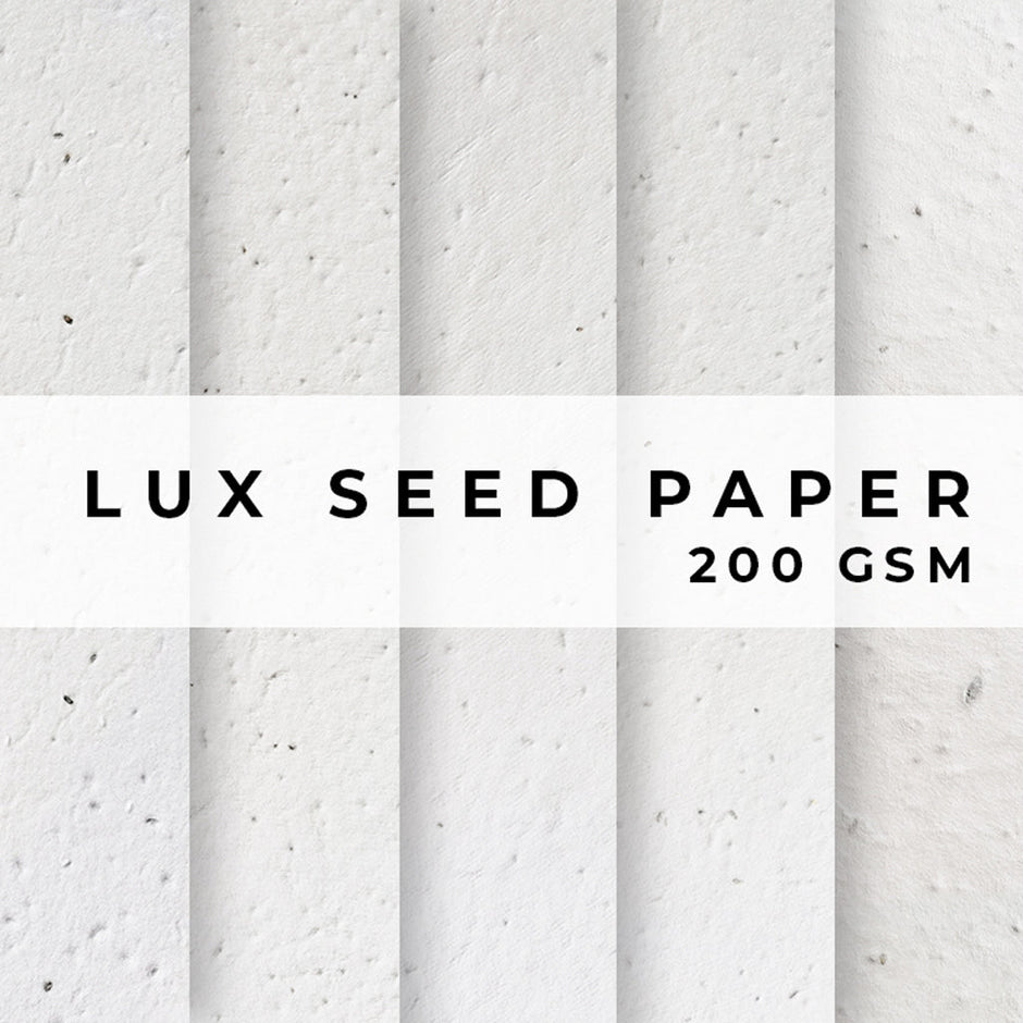 Seed Paper | Eco-Friendly & Plantable | Little Green Paper Shop