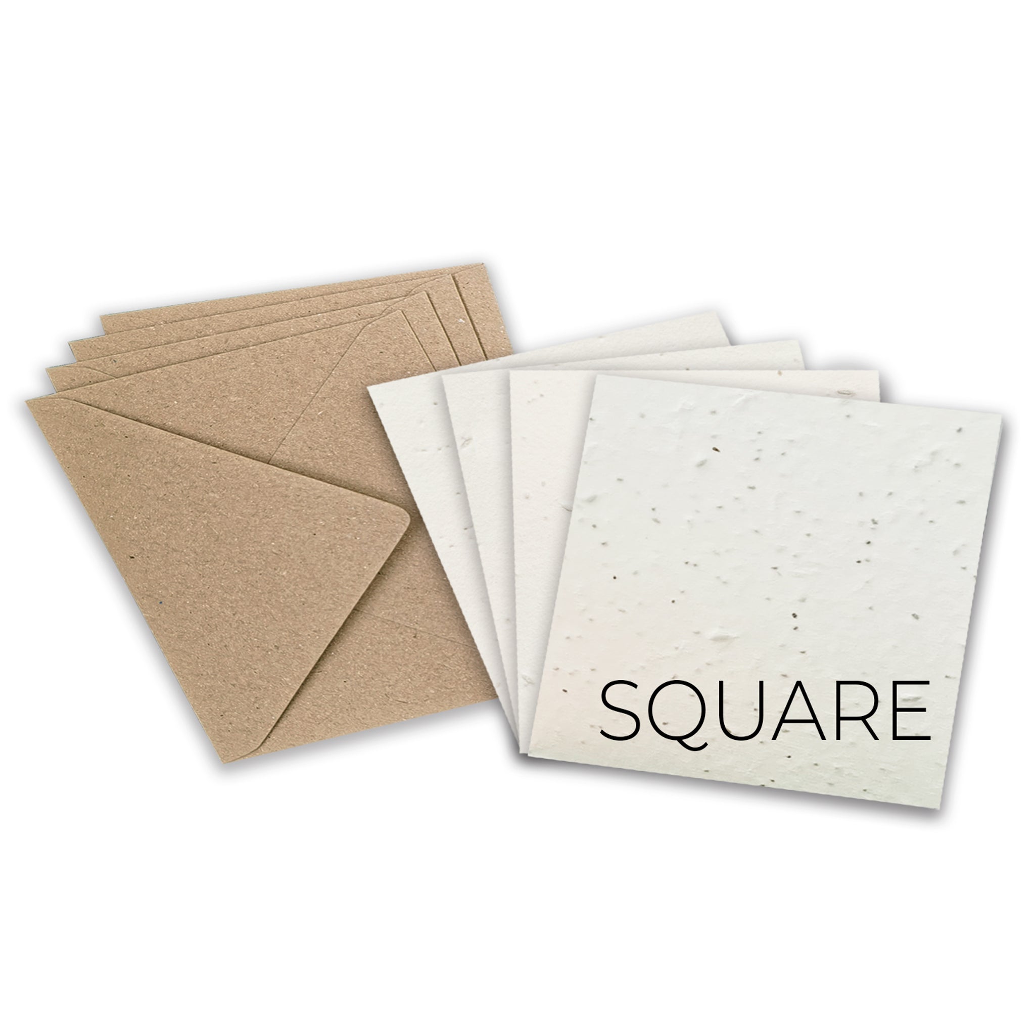 Seed Paper Blank or Custom SQUARE Greeting Cards Greeting Card Little ...