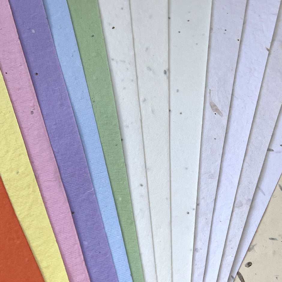 Seed Paper | Eco-Friendly & Plantable | Little Green Paper Shop