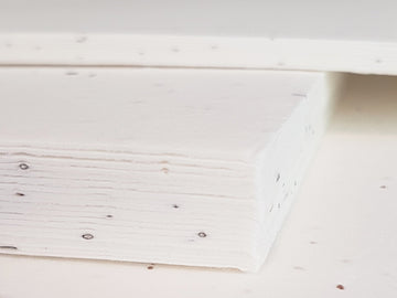 Seed Paper | Eco-Friendly & Plantable | Little Green Paper Shop