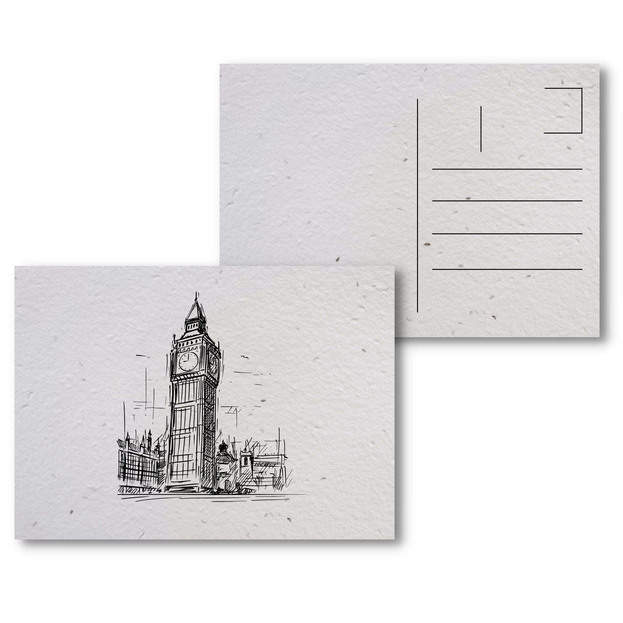 Seed Paper Seed Paper Postcards Little Green Paper Shop